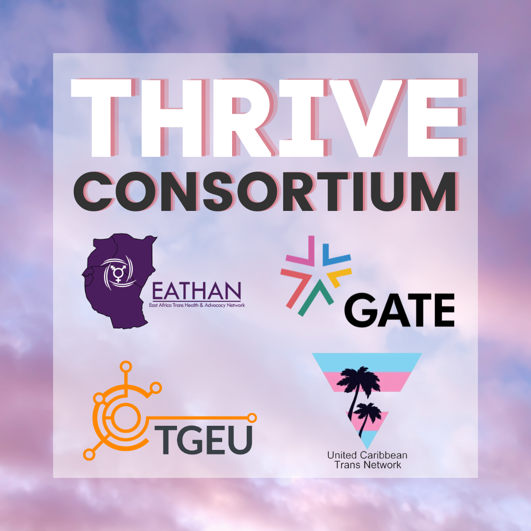Download THRIVE Consortium Organizational Capacity Plan 2022 — GATE ...