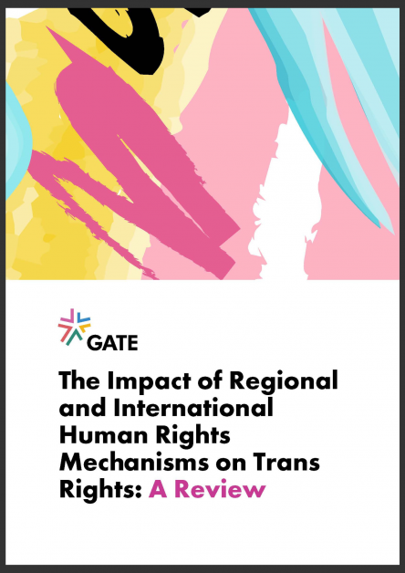 Download The Impact of Human Rights Mechanisms on Trans Rights: A ...