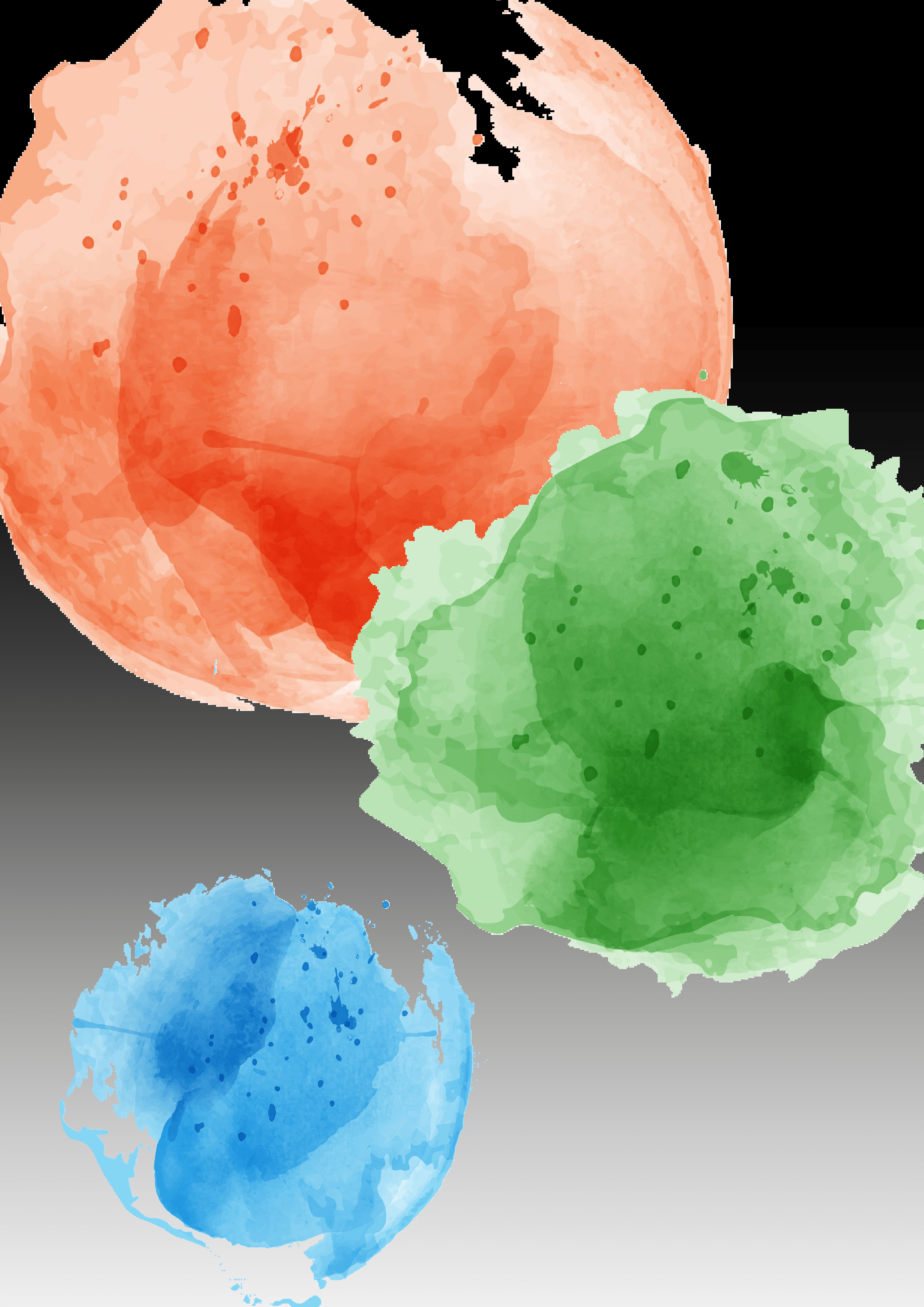 GATE's 2023 Annual Report — GATE | Global Action for Trans Equality