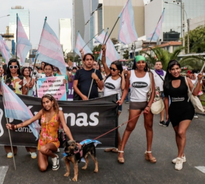 Radical progress through trans-led grassroots organizing and community ...